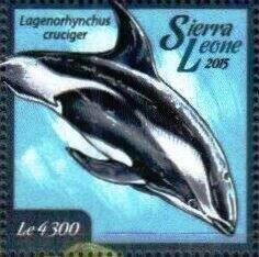 Stamp: Hourglass Dolphin (Lagenorhynchus cruciger) (Sierra Leone(Fauna ...
