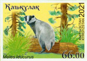 Stamp: Asian Badger (Meles leucurus) (Kyrgyzstan(Fauna of Kyrgyzstan ...