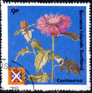 Stamp: Centaurea (Scotland, Bernera Island: Cinderella Stamps(Flowers ...