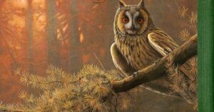 Stamp: Owls booklet (Isle of Man(Owls) Mi:IM MH38,Yt:IM C747,Sg:IM SB44 ...
