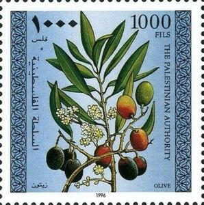 Stamp: Olive (Palestinian Territory(Flowers & Fruits) Mi:PS 62