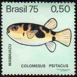Stamp: Parrot Puffer (Colomesus psittacus) (Brazil(Freshwater Fishes ...