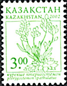 Stamp: Pterygostemon Spathulatus (Kazakhstan(Definitive Issue - Flora (2002)) Mi:KZ 374,Sn:KZ ...