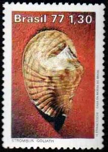 Stamp: Goliath Conch (Strombus goliath) (Brazil(Brazilian Molluscs) Mi ...