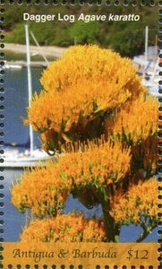 Stamp: Dagger Log (Agave karatto) (Antigua and Barbuda(Flowers (2018 ...