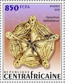Stamp: Hyocrinus bethelianus (Central African Republic(Fossils (2021 ...