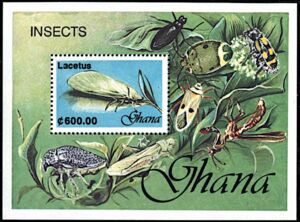 Stamp: Lacetus (Ghana(Insects) Mi:GH BL182,Yt:GH BF173,Sg:GH MS1639