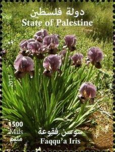 Stamp: Faqqu'a Iris, Palestine National Flower (Palestinian Territory ...
