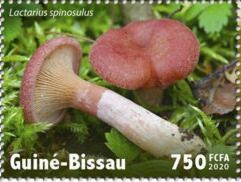Stamp: Lilascale Milkcap (Lactarius spinosulus) (Guinea-Bissau ...