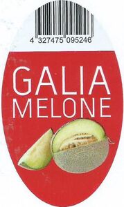 Fruit Sticker: Galia Melone (Germany, Federal RepublicCol:DE-FR-00179