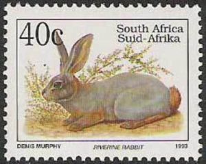 Stamp: Riverine Rabbit (Bunolagus monticularis) (South Africa ...