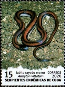 Stamp: Common Island Racer (Arrhyton vittatum) (Cuba(Endemic Snakes of ...