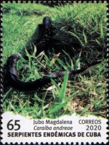 Stamp: Cuban Lesser Racer (Caraiba andreae) (Cuba) (Endemic Snakes of ...