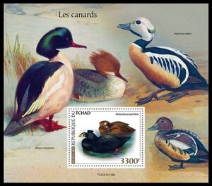 Stamp: Surf Scoter (Melanitta perspicillata) (Chad(Ducks (2021)) Mi:TD ...