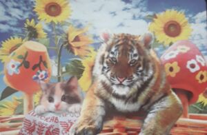 Pocket Calendar: Tiger cub (Ukraine(Tigers) Col:UA-2022-Tiger-001.24
