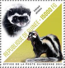 Stamp: Striped Polecat (Ictonyx striatus) (Guinea) (Skunks (2021)) Col ...