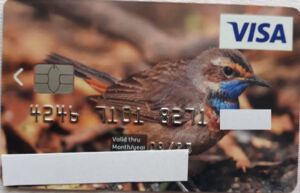 Bank Card: Bird (ING Bank Śląski SA, PolandCol:PL-VI-0657