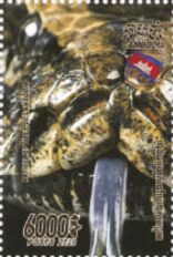 Stamp: Python molurus bivittatus (Cambodia(Reptiles (2020)) Mi:KH 2695