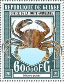 Stamp: Necora puber (Guinea(Crustaceans (2021)) Col:GN 2021-165a