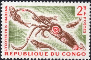 Timbre: Crowned Firefly Squid (Lycoteuthis lorigera) (Congo, République ...