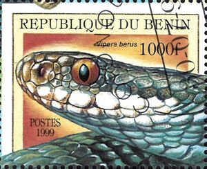 Stamp: Common European Viper (Vipera Berus) (Benin(Snakes 1999) Mi:BJ 1183