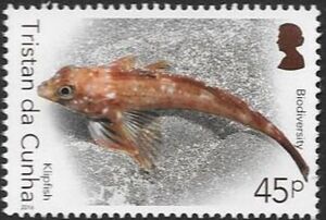 Stamp: Klipfish (Bovichtus diacanthus) (Tristan da Cunha) (Biodiversity ...