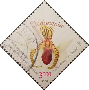 Stamp: Paphiopedilum supardii Braem & Löb 22/34 (Indonesia(Bicentenary ...
