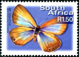 Stamp: Brenton Blue (Orachrysops niobe) (South Africa(Flora and Fauna ...