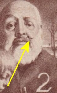 Stamp: Adam Chmielowski (Brother Albert) (1845-1916) (Poland(Polish ...