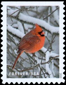 Stamp: Northern Cardinal (Cardinalis cardinalis) (United States of ...