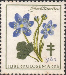 Stamp: Tuberculosis Liverwort (Germany, Federal Republic: Cinderella ...