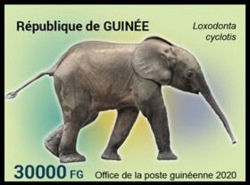 Stamp: African Forest Elephant (Loxodonta cyclotis) (Guinea(African ...