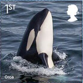Stamp: Orca (Orcinus orca) (United Kingdom of Great Britain & Northern ...