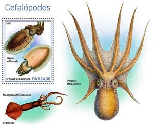 Stamp: Sepia officinalis (São Tomé and Príncipe(Octopuses (2021)) Yt:ST ...