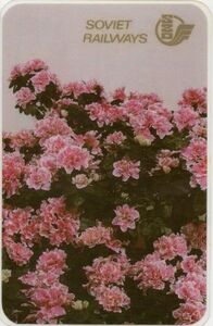 Pocket Calendar: Soviet Railways (Soviet Union, USSR(Advertising) Col ...