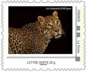 Stamp: African Leopard (France: Personalized stamps(Collector ...