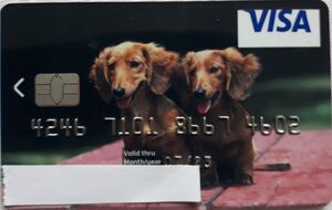Bank Card: Dogs (ING Bank Śląski SA, PolandCol:PL-VI-0352.02