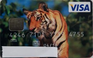 Bank Card: Tiger (ING Bank Śląski SA, PolandCol:PL-VI-0436.03