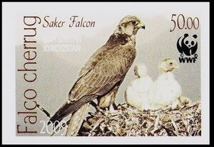 Stamp: Saker Falcon (Falco cherrug) (Kyrgyzstan(WWF - Endangered ...
