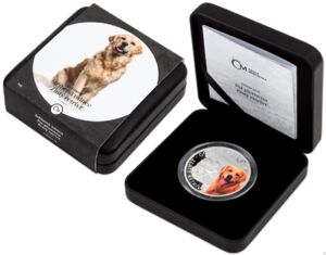 Moneda: 1 Dollar (Dog Breeds - Golden retriever) (Niue(2021~Today - Dog ...