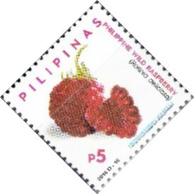 Stamp: Philippine Wild Raspberry (Rollinia deliciosa) Sapinit ...