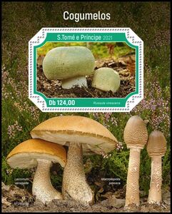 Stamp: Russula virescens (São Tomé and Príncipe(Mushrooms (2021.1)) Yt ...