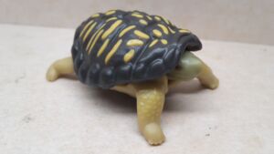 Meal Toy: Red-eared slider (Turtle) (Kinder Surprise, Europe(Kinder ...