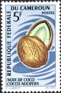 Stamp: Coconut (Cocos nucifera) (Cameroon(Fruits 1967) Mi:CM 510,Sn:CM ...