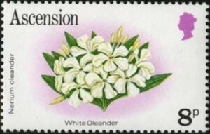 Stamp: White Oleander (Ascension Island(Flowers Definitives) Mi:AC 281 ...