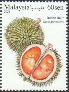 Stamp: Durian Dalit (Malaysia(Durian, King of Fruits (2021)) Mi:MY 2599 ...