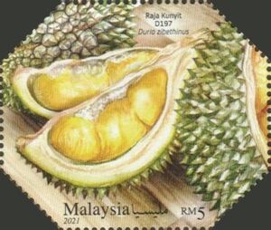Stamp: Durian, Raja Kunyit D197 (Malaysia(Durian, King of Fruits (2021 ...