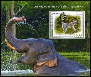 Stamp: Ring-tailed Lemur (Lemur catta) (Chad(Endangered Species (2021 ...
