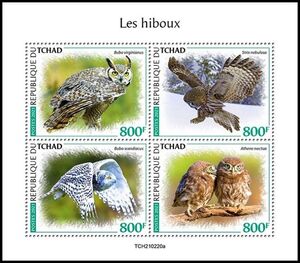 Stamp: Owls (Chad(Owls (2021)) Mi:TD 4732-4735KB,Yt:TD 3341-3344