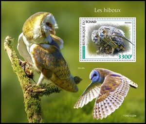 Stamp: Long-eared Owl (Asio otus) (Chad(Owls (2021)) Mi:TD BL1018,Yt:TD ...
